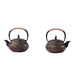 Tea Pot Arakawa-Naka - Japanese Teapots - Iron Cast Teapots – My ...