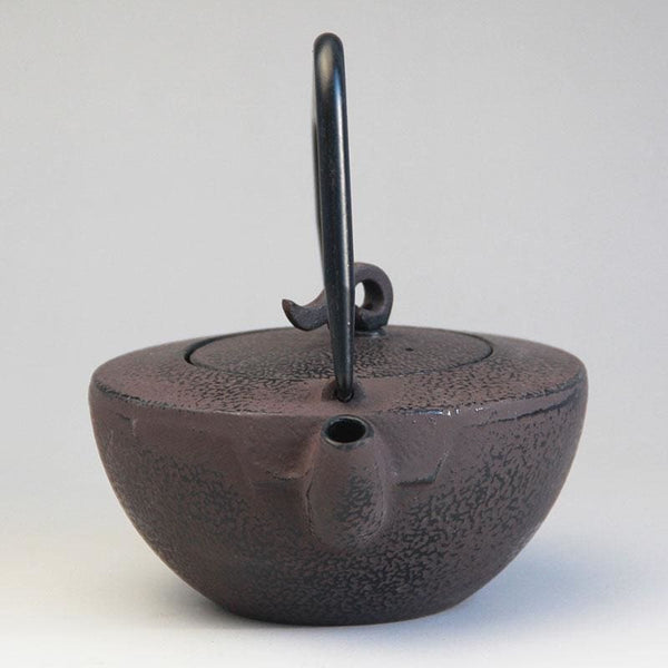 Tea Pot Tsubakuro - Japanese Teapots - Iron Cast Teapots – My Japanese Home
